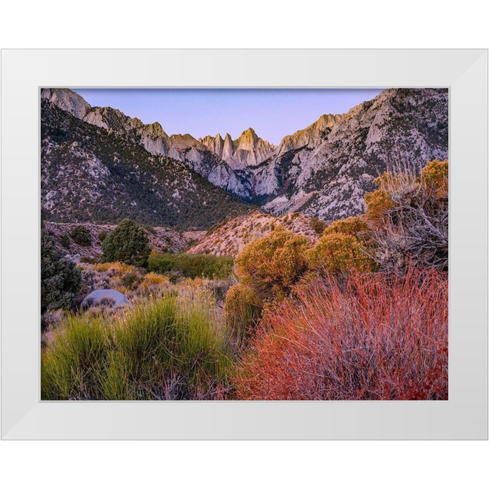 Fitzharris, Tim 32x25 White Modern Wood Framed Museum Art Print Titled ...