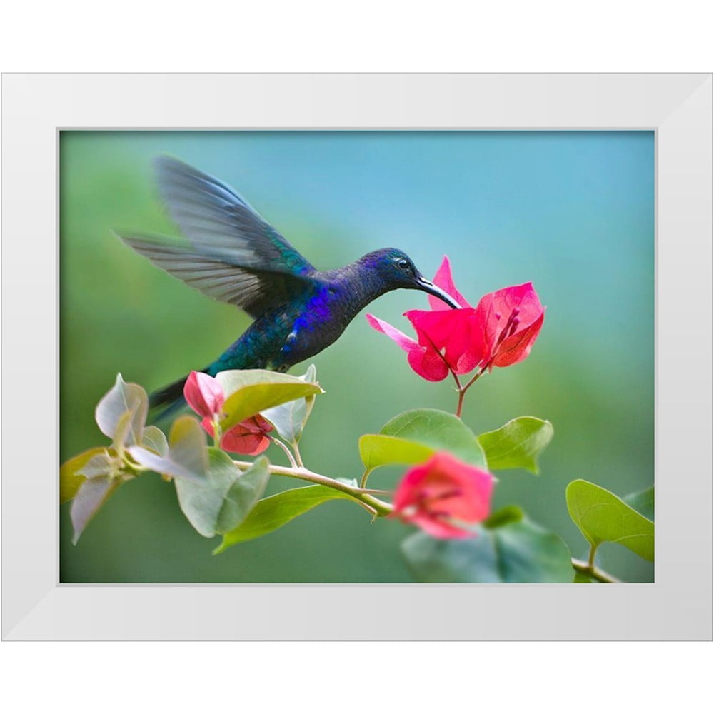 Fitzharris, Tim 32x25 White Modern Wood Framed Museum Art Print Titled ...