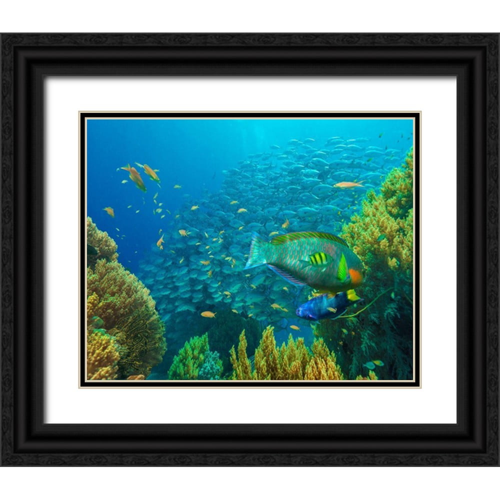 Fitzharris, Tim 32x26 Black Ornate Wood Framed with Double Matting ...