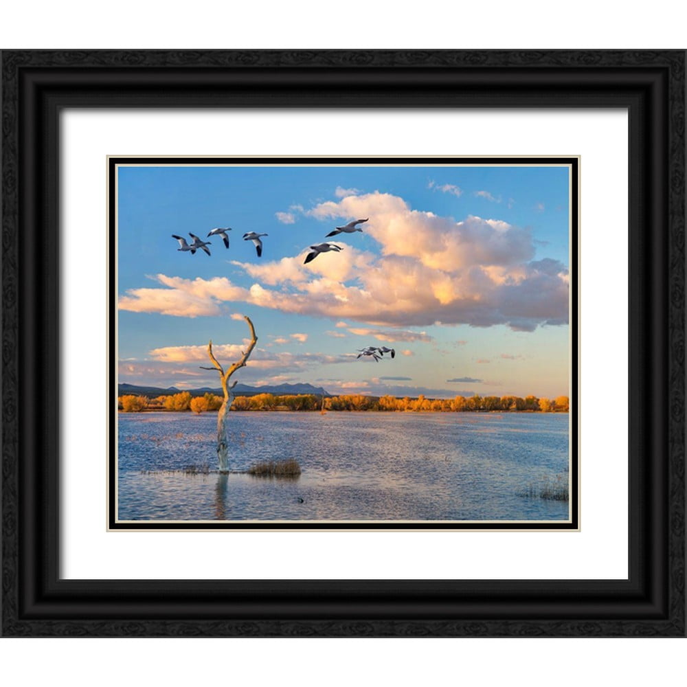 Fitzharris, Tim 32x26 Black Ornate Wood Framed with Double Matting ...