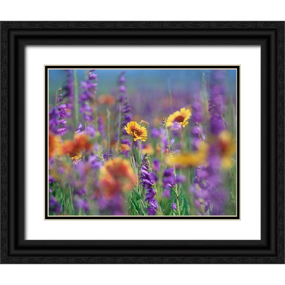 Fitzharris, Tim 32x26 Black Ornate Wood Framed with Double Matting ...