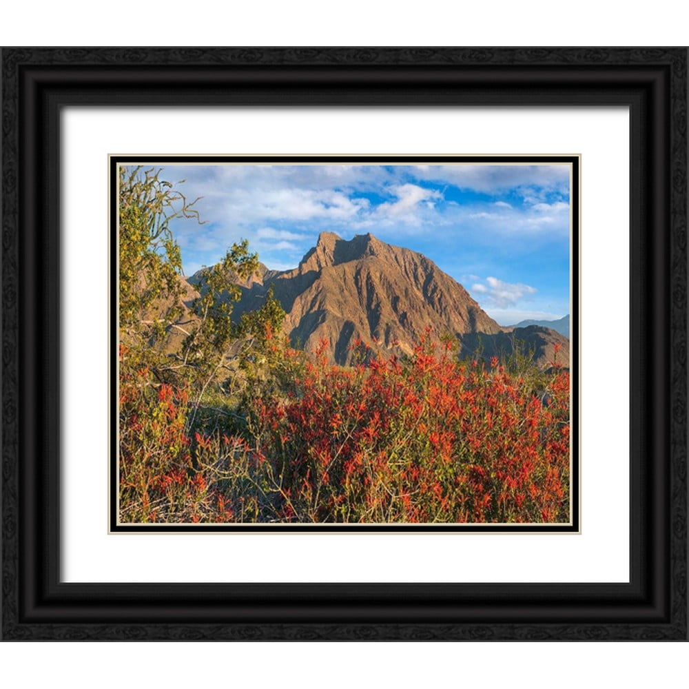 Fitzharris, Tim 32x26 Black Ornate Wood Framed with Double Matting Museum Art Print Titled ...