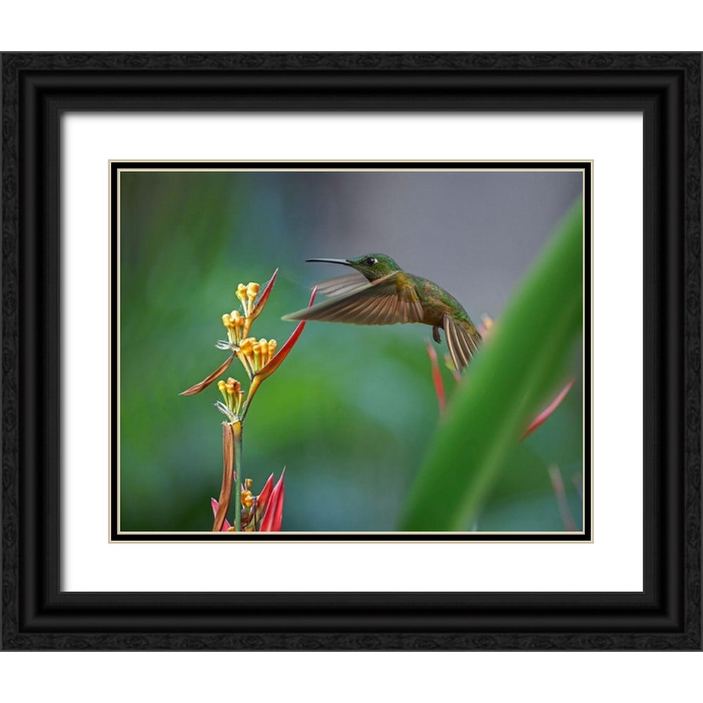 Fitzharris, Tim 32x26 Black Ornate Wood Framed with Double Matting ...