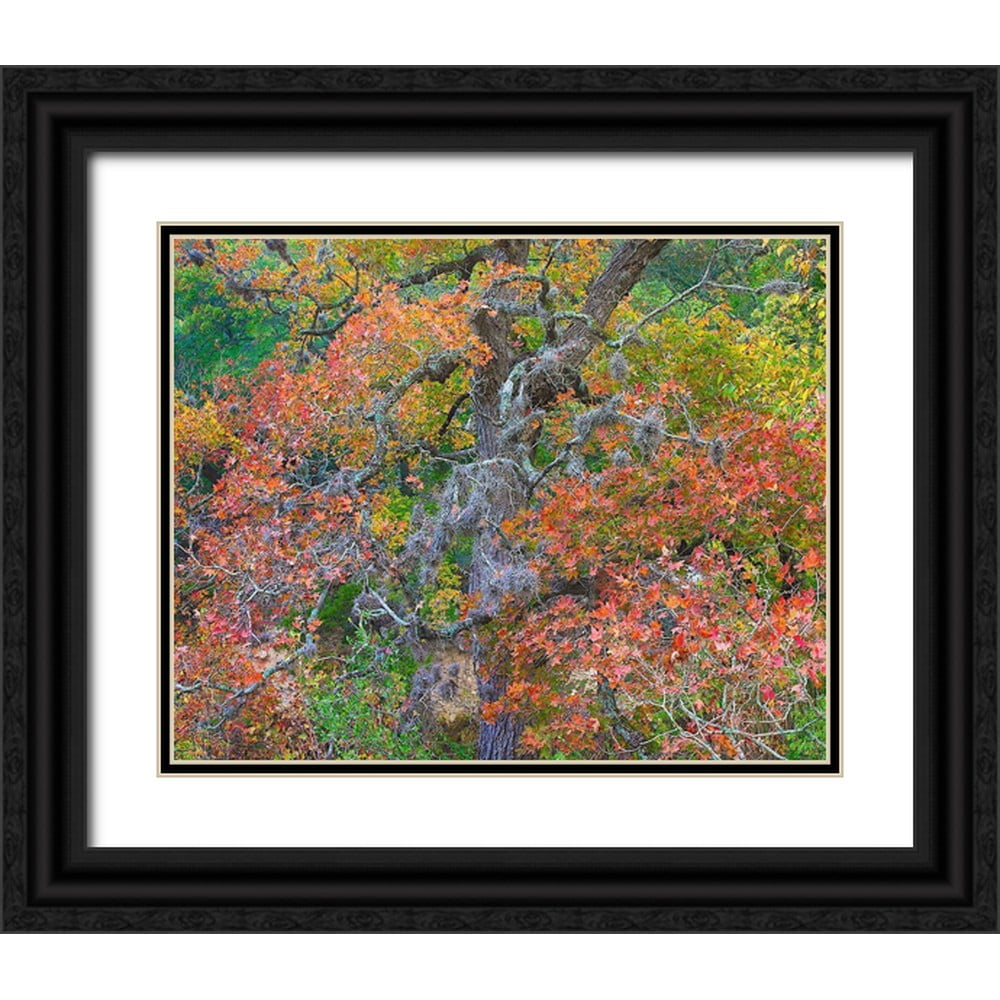 Fitzharris, Tim 32x26 Black Ornate Wood Framed with Double Matting ...