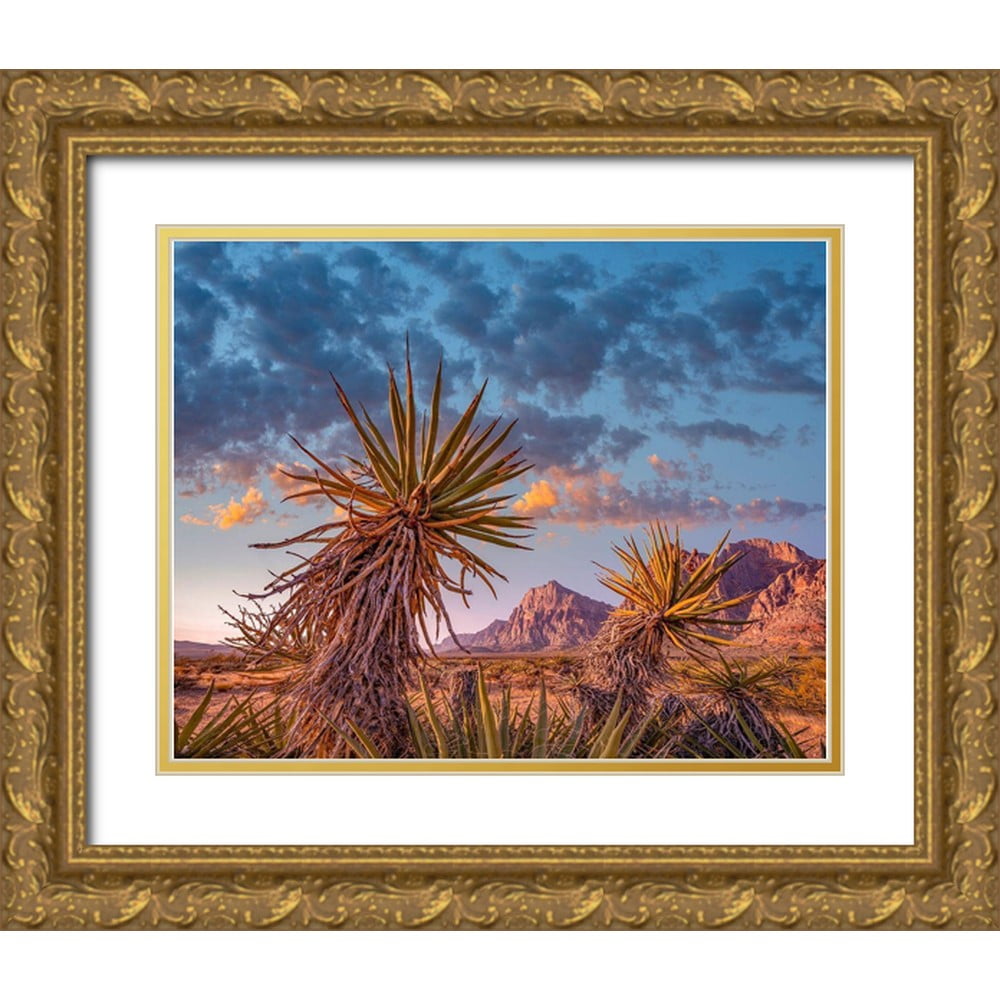 Fitzharris, Tim 32x26 Gold Ornate Wood Framed with Double Matting ...