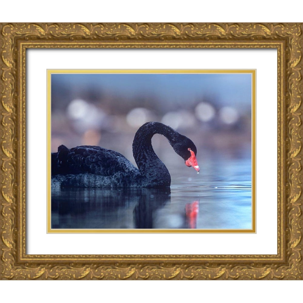 Fitzharris, Tim 32x26 Gold Ornate Wood Framed with Double Matting ...