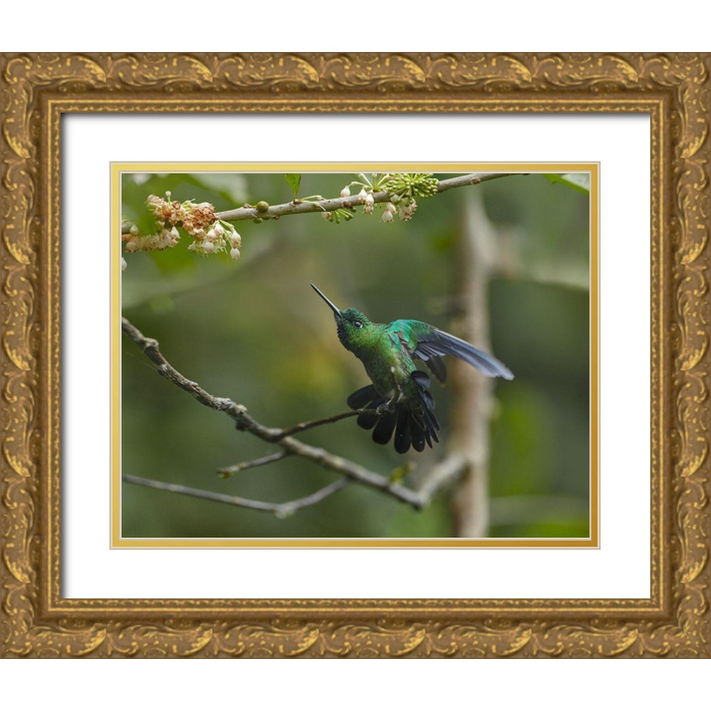 Fitzharris, Tim 32x26 Gold Ornate Wood Framed with Double Matting ...