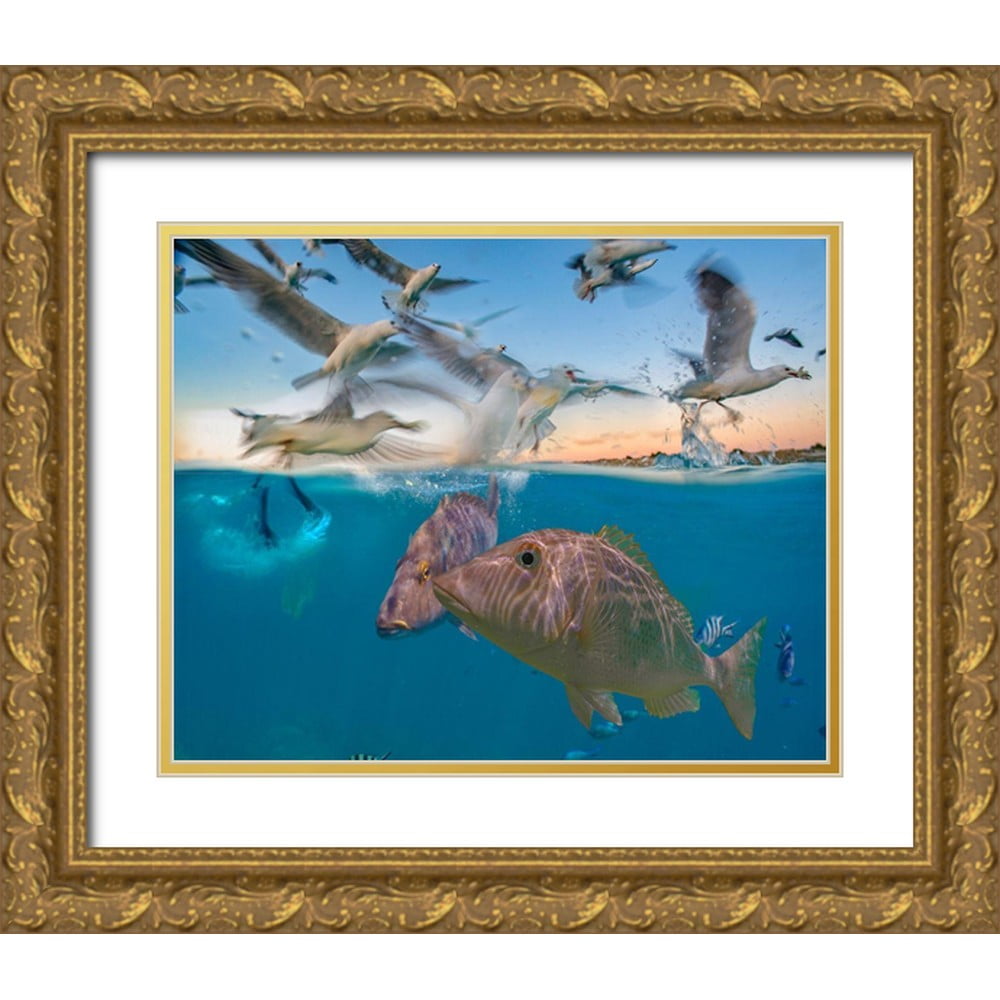 Fitzharris, Tim 32x26 Gold Ornate Wood Framed with Double Matting ...