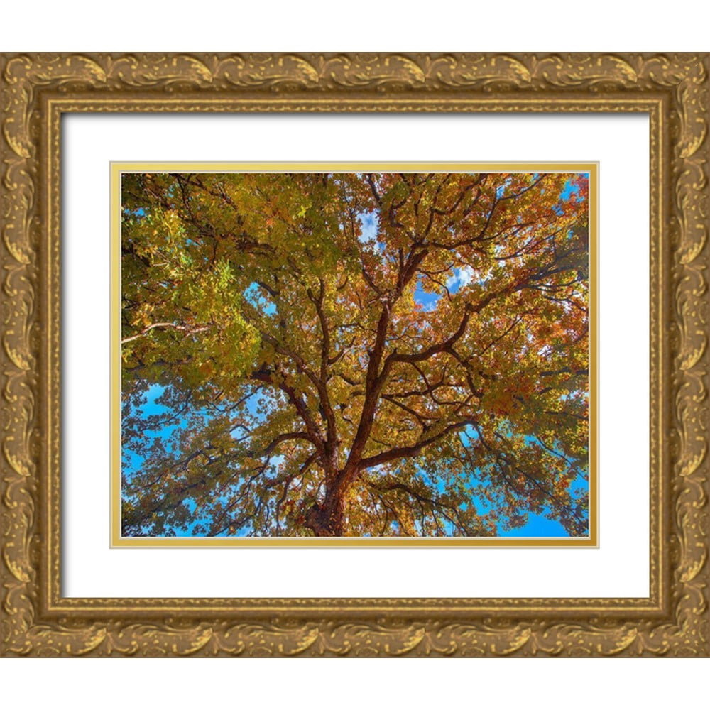 Fitzharris, Tim 32x26 Gold Ornate Wood Framed with Double Matting ...