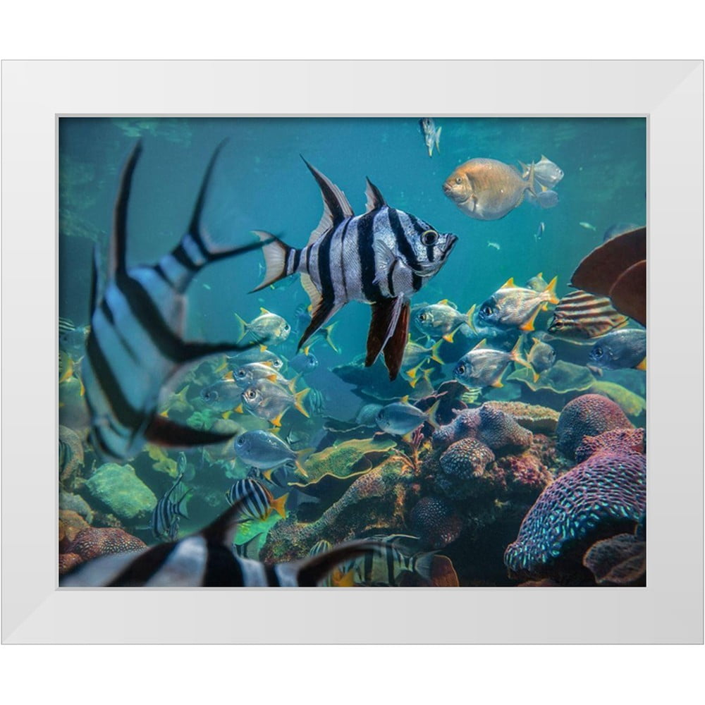Fitzharris, Tim 32x26 White Modern Wood Framed Museum Art Print Titled ...