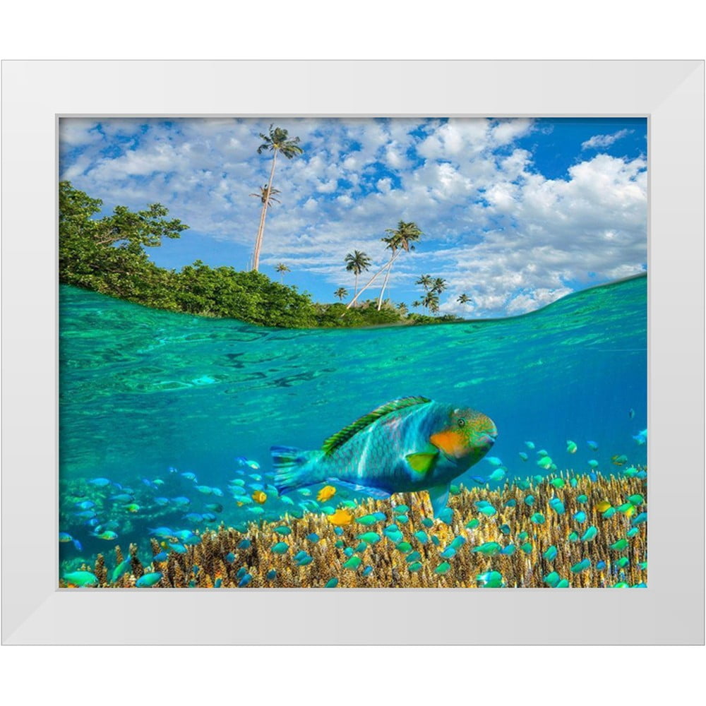 Fitzharris, Tim 32x26 White Modern Wood Framed Museum Art Print Titled ...