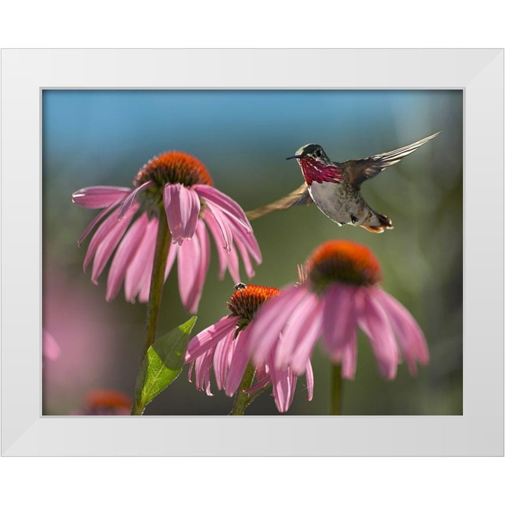 Fitzharris, Tim 32x26 White Modern Wood Framed Museum Art Print Titled ...
