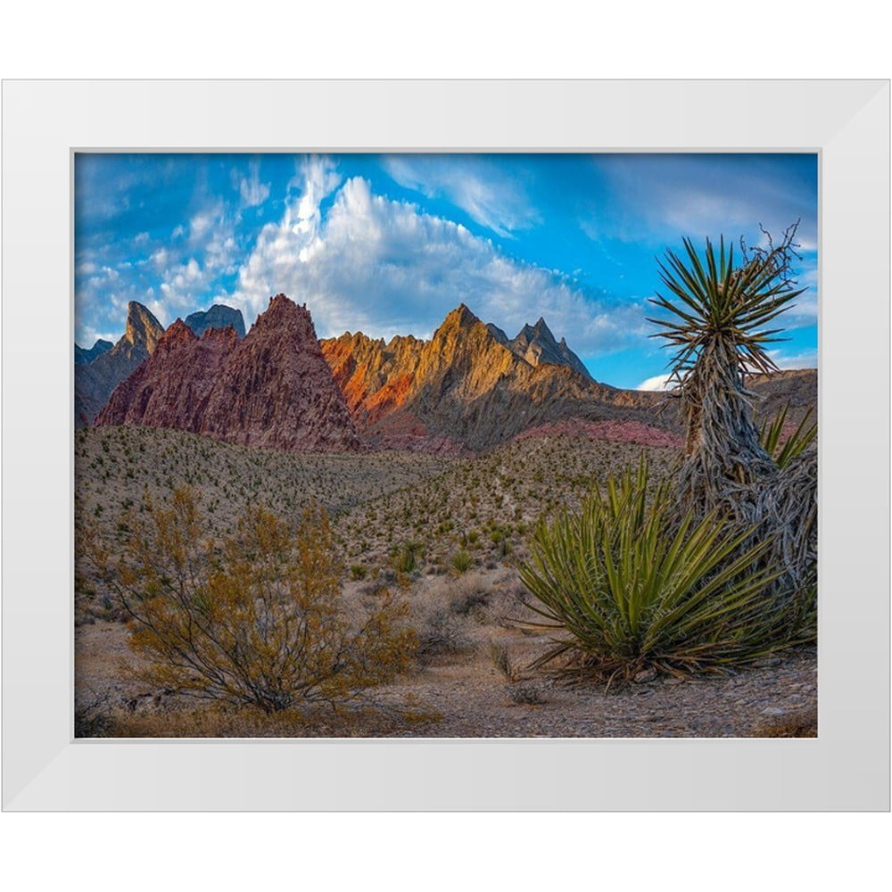 Fitzharris, Tim 32x26 White Modern Wood Framed Museum Art Print Titled - Red Rock Canyon ...