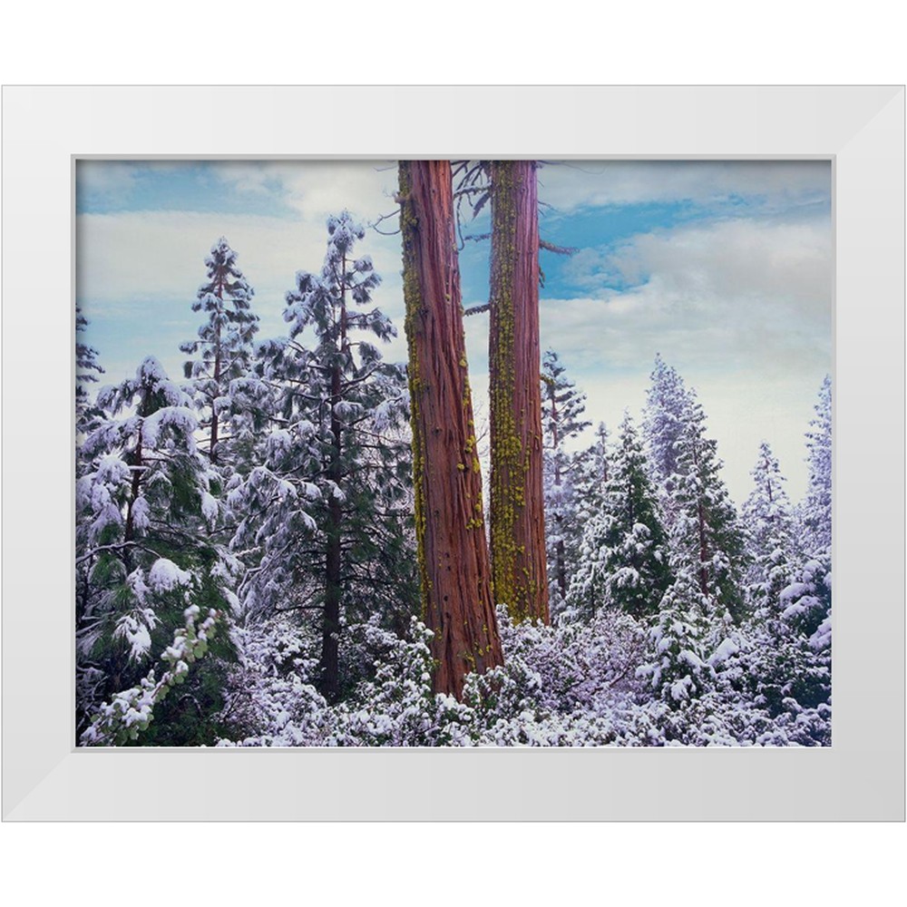 Fitzharris, Tim 32x26 White Modern Wood Framed Museum Art Print Titled ...