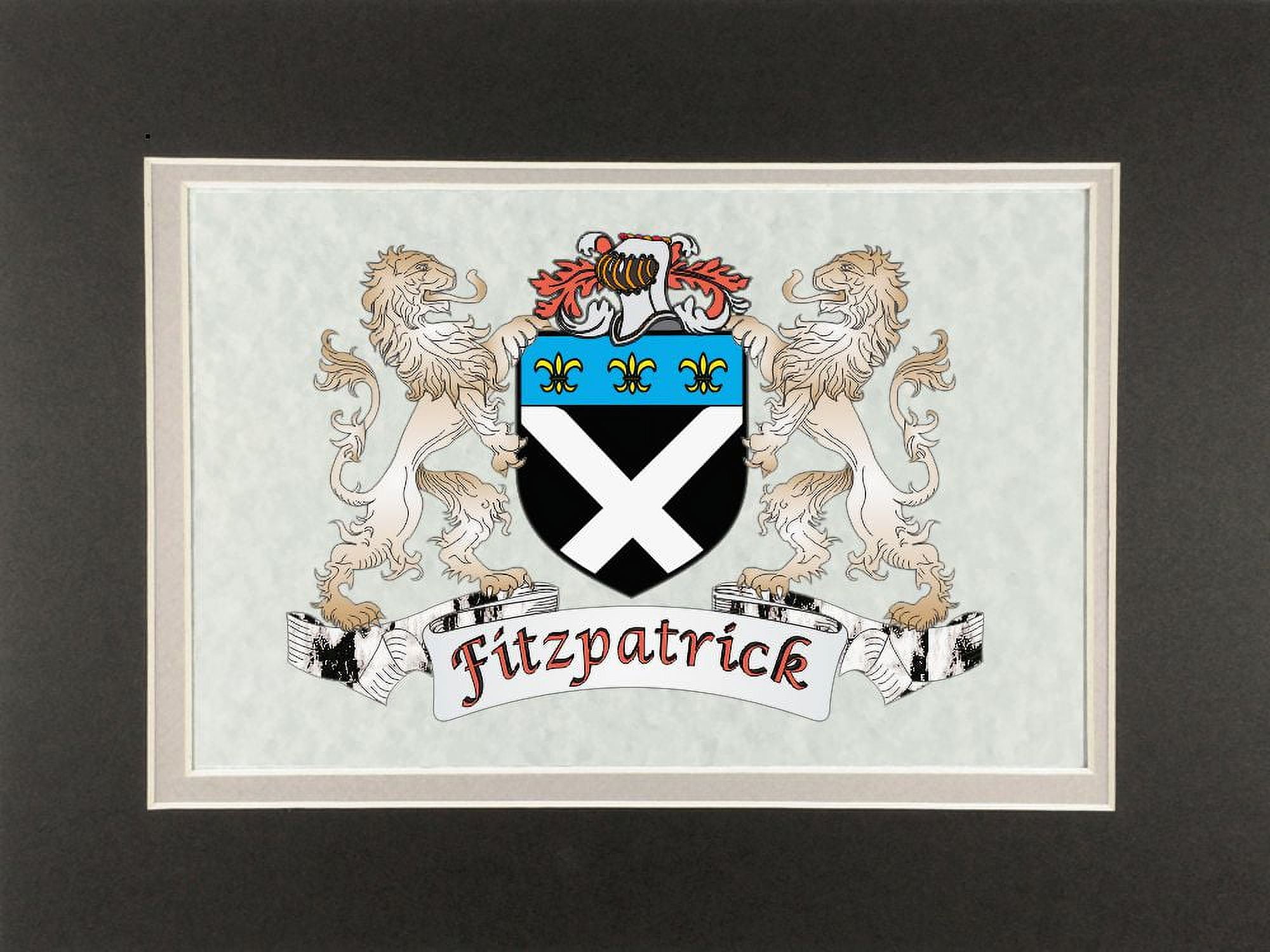 Fitzpatrick Irish Coat of Arms Print - Frameable 9" x 12" - Walmart.com