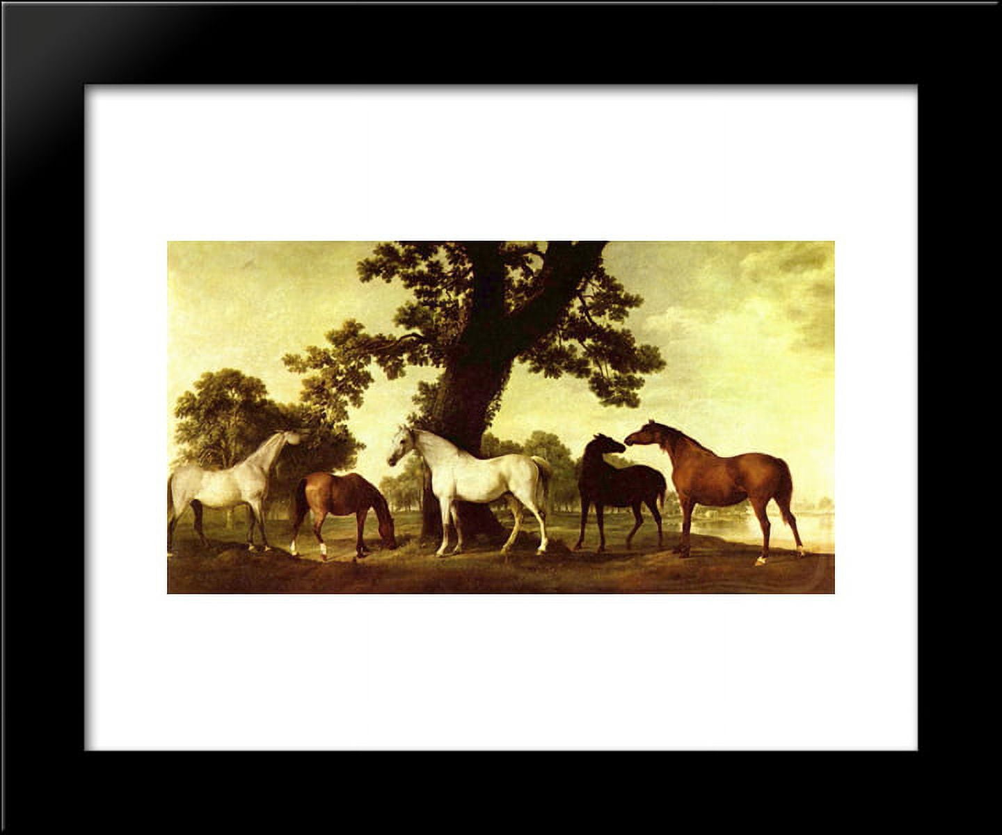 Five Brood Mares 20x24 Framed Art Print by George Stubbs - Walmart.com