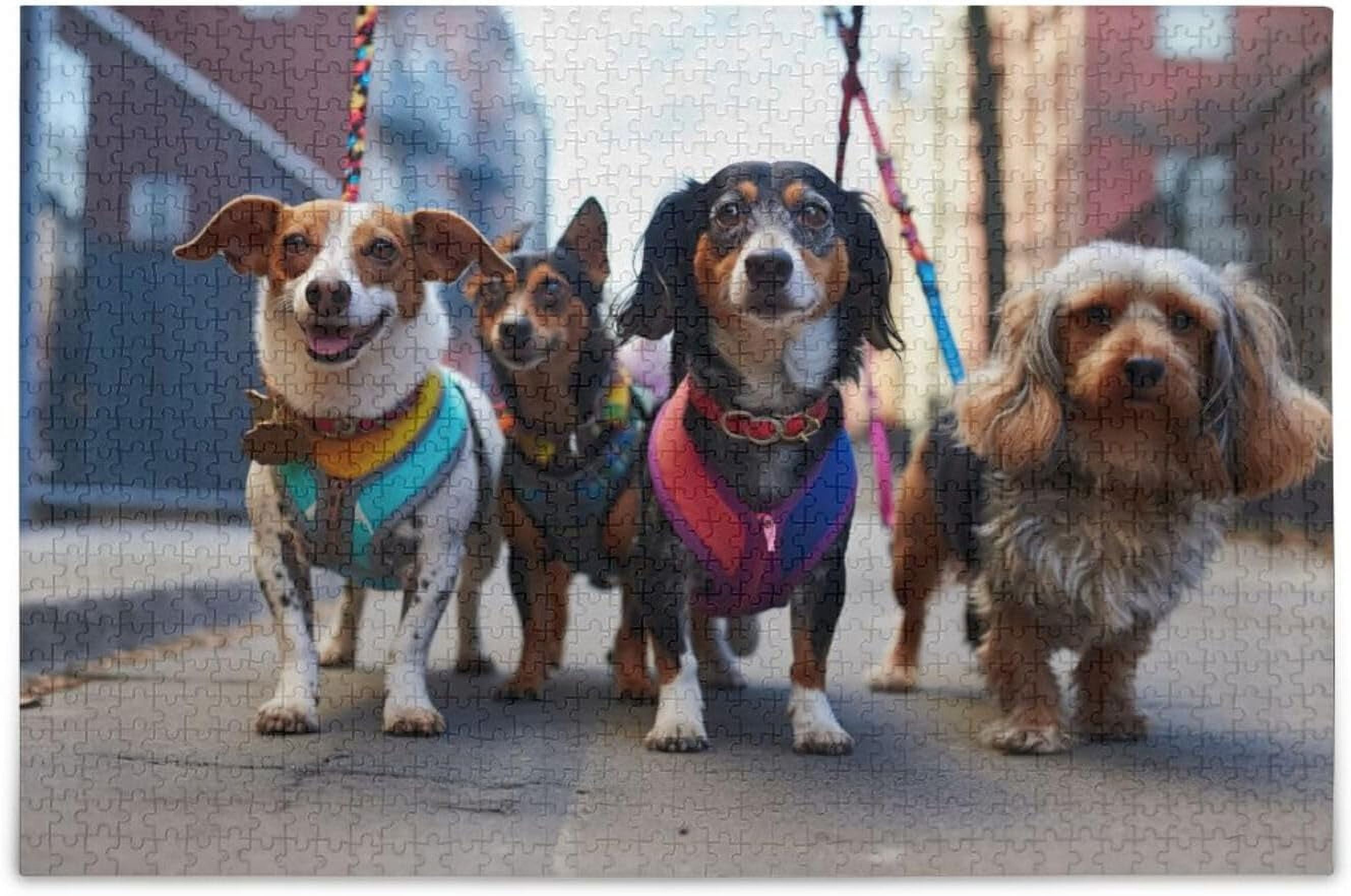 Five Dogs Outside Jigsaw Puzzles 500 PiecesPuzzles for Adults Family ...