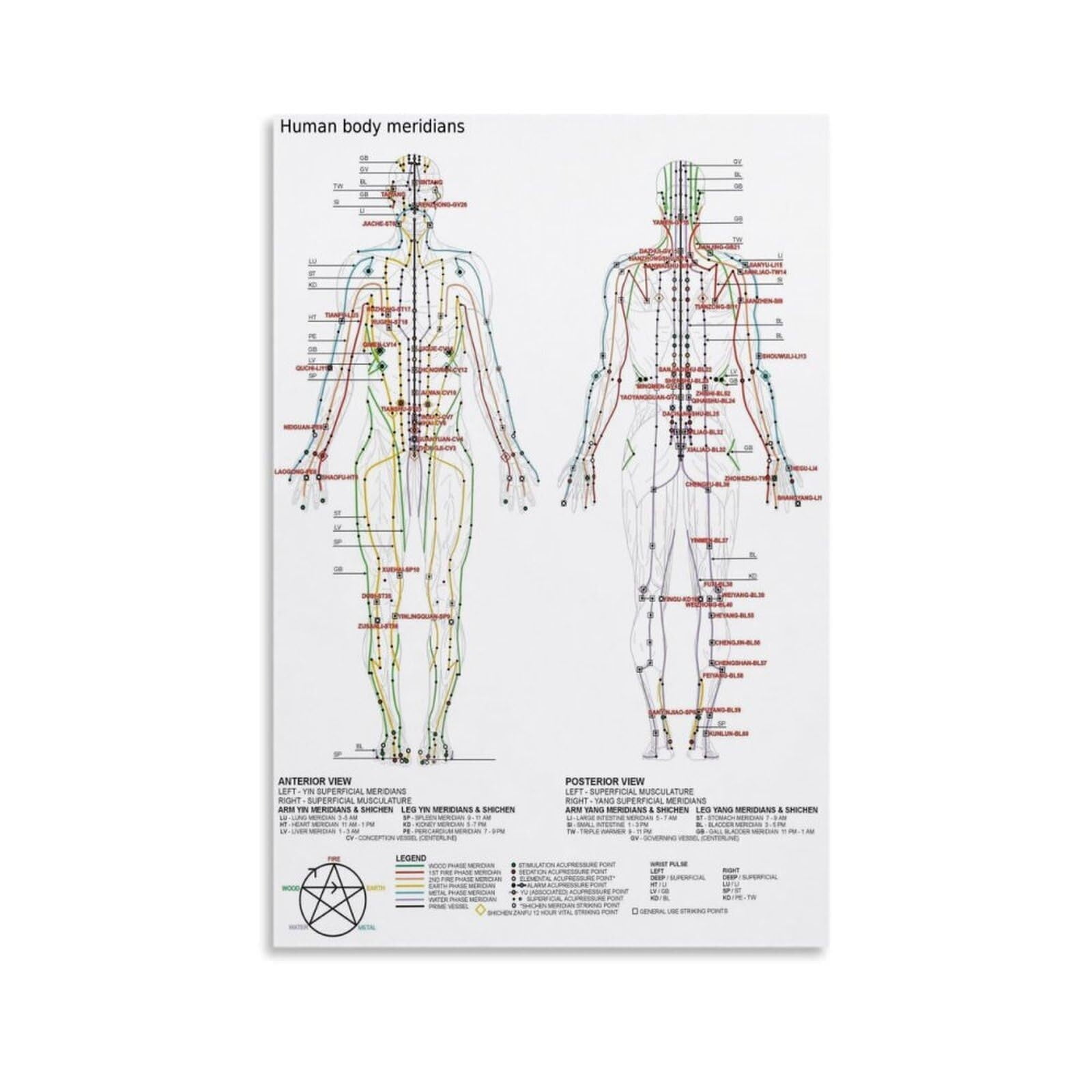 Five Elements Theory Chinese Meridian Chart Acupuncture Poster, Modern ...