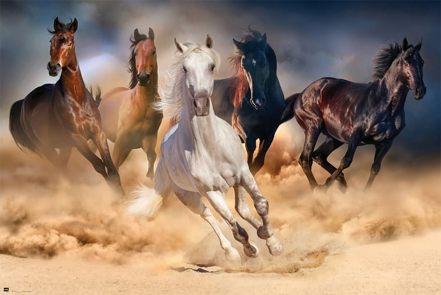Five Horses Poster (36 x 24) - Walmart.com