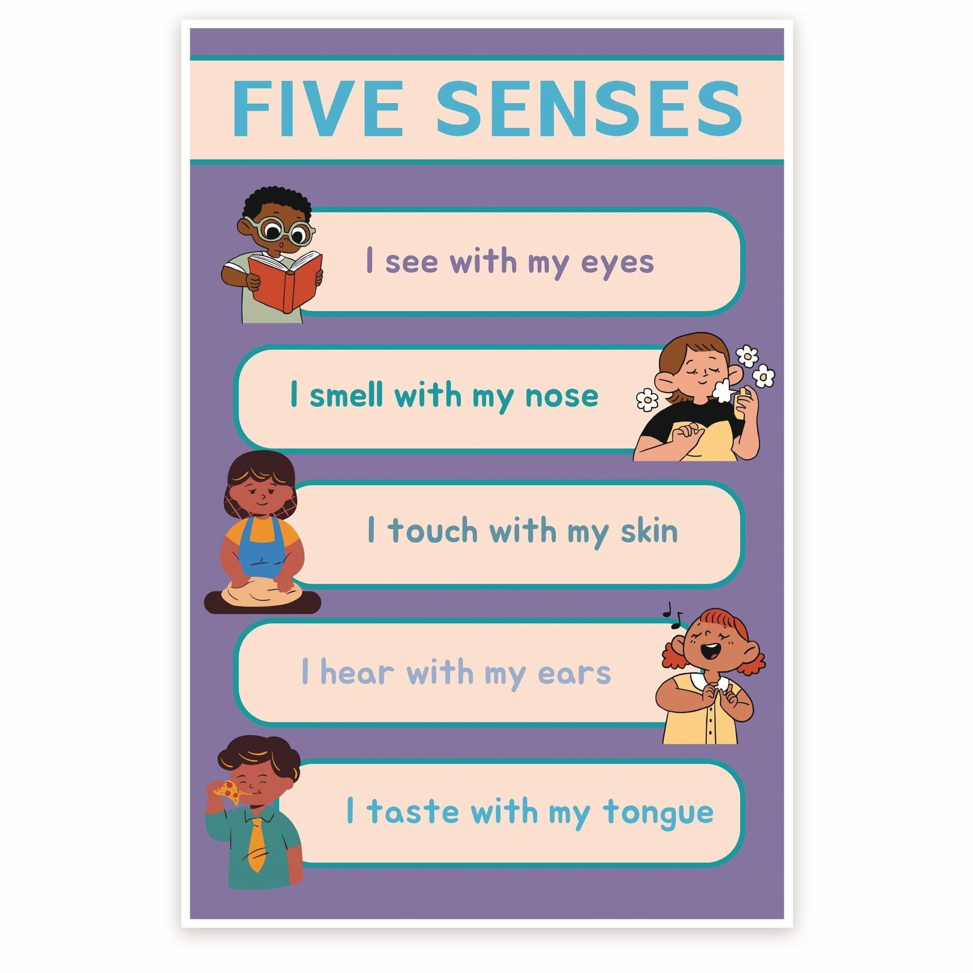 Five Sense Diagram - Sensory System Chart - Visual Learning Tool ...
