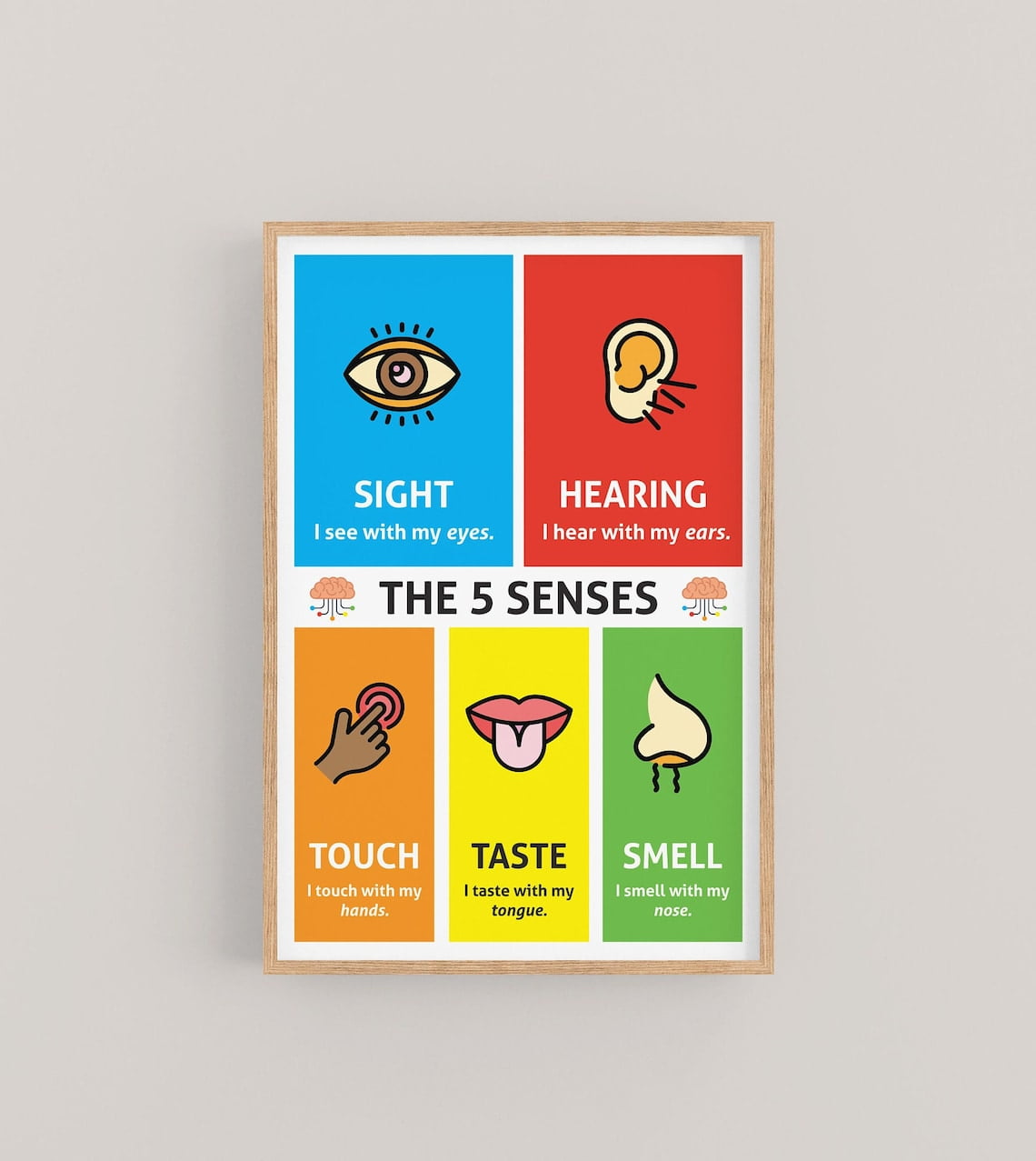 The Five Senses Wall Art, Educational For The Classroom And Homeschool ...