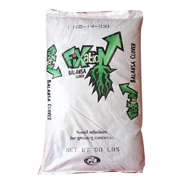 Fixation Balansa Clover Seed - 50 Lbs. - Walmart.com