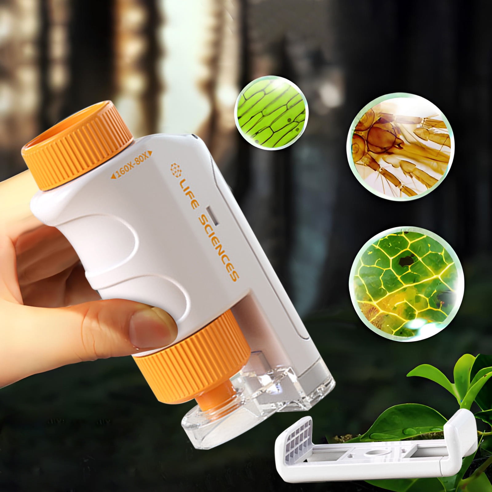 Fjnjuu Baby Toys 6-12 Months, Kids Microscope Handheld Microscope ...