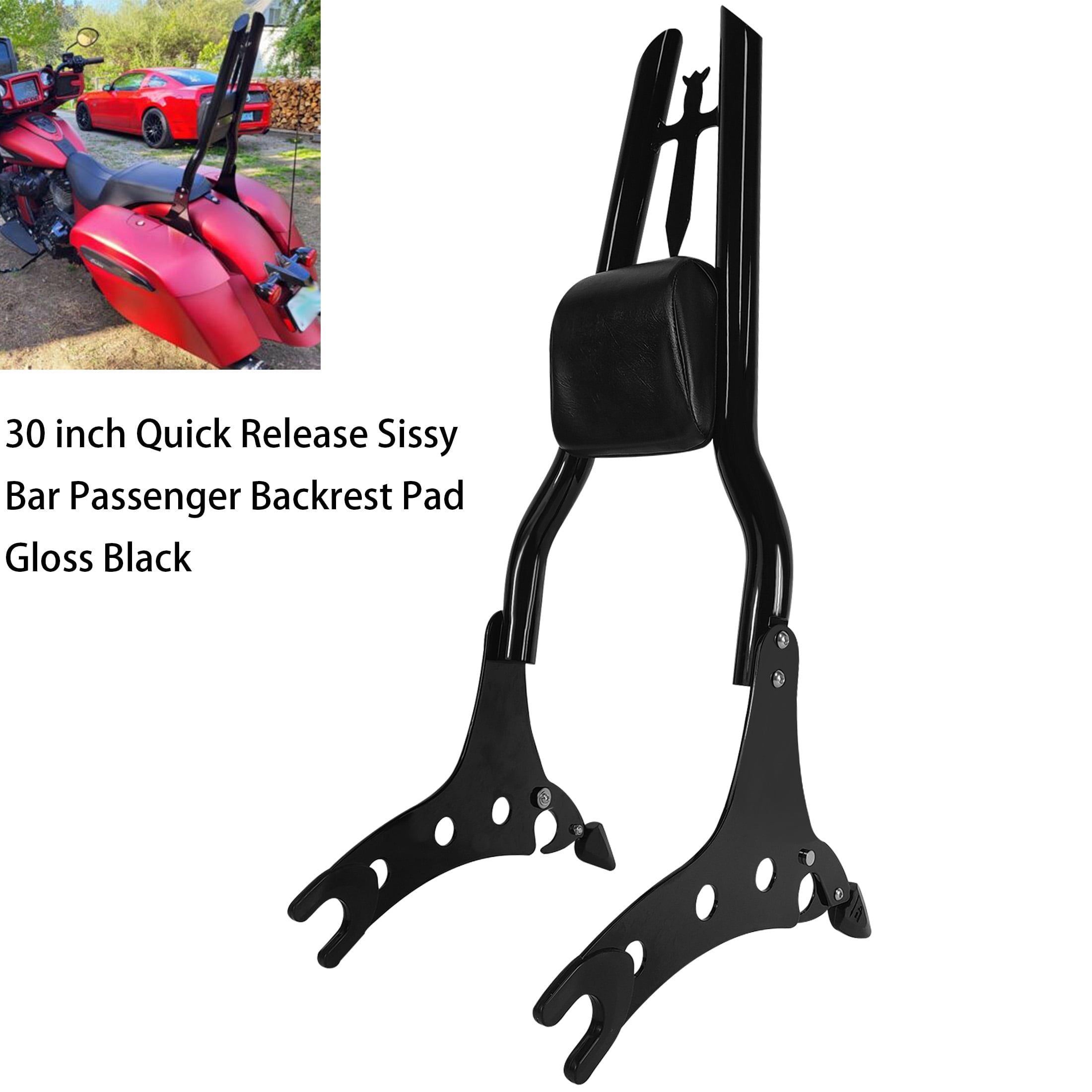 Fjpacemt Detachable Backrest Sissy Bar for Motorcycle Indian Chieftain ...