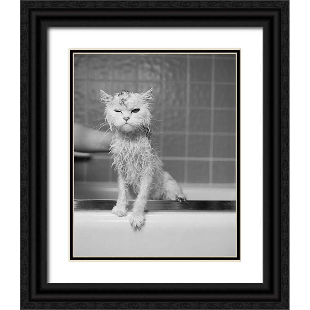 Flad, James 15x18 Black Ornate Wood Framed with Double Matting Museum ...