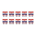 Flag 10 Temporary Face Stickers For Flag 10 Sports Flag Detachable For