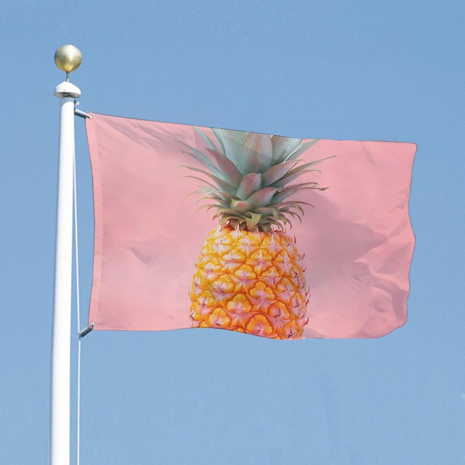 Flag 24x35 in Double Sided Yard Flags Pineapple Garden Flag Welcome ...
