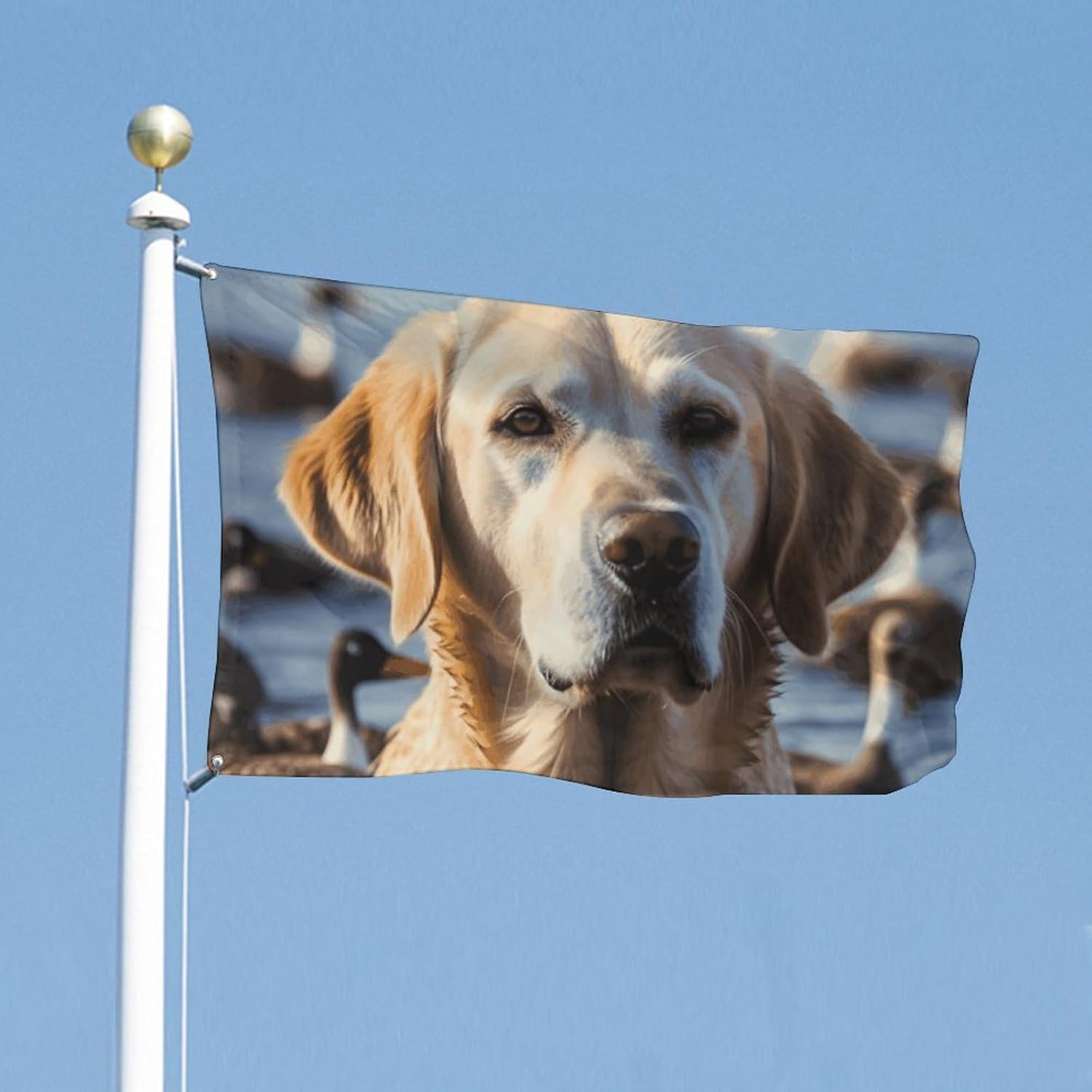Flag 60x96 in Double Sided Yard Flags Dog And Duck Swimming Garden Flag ...