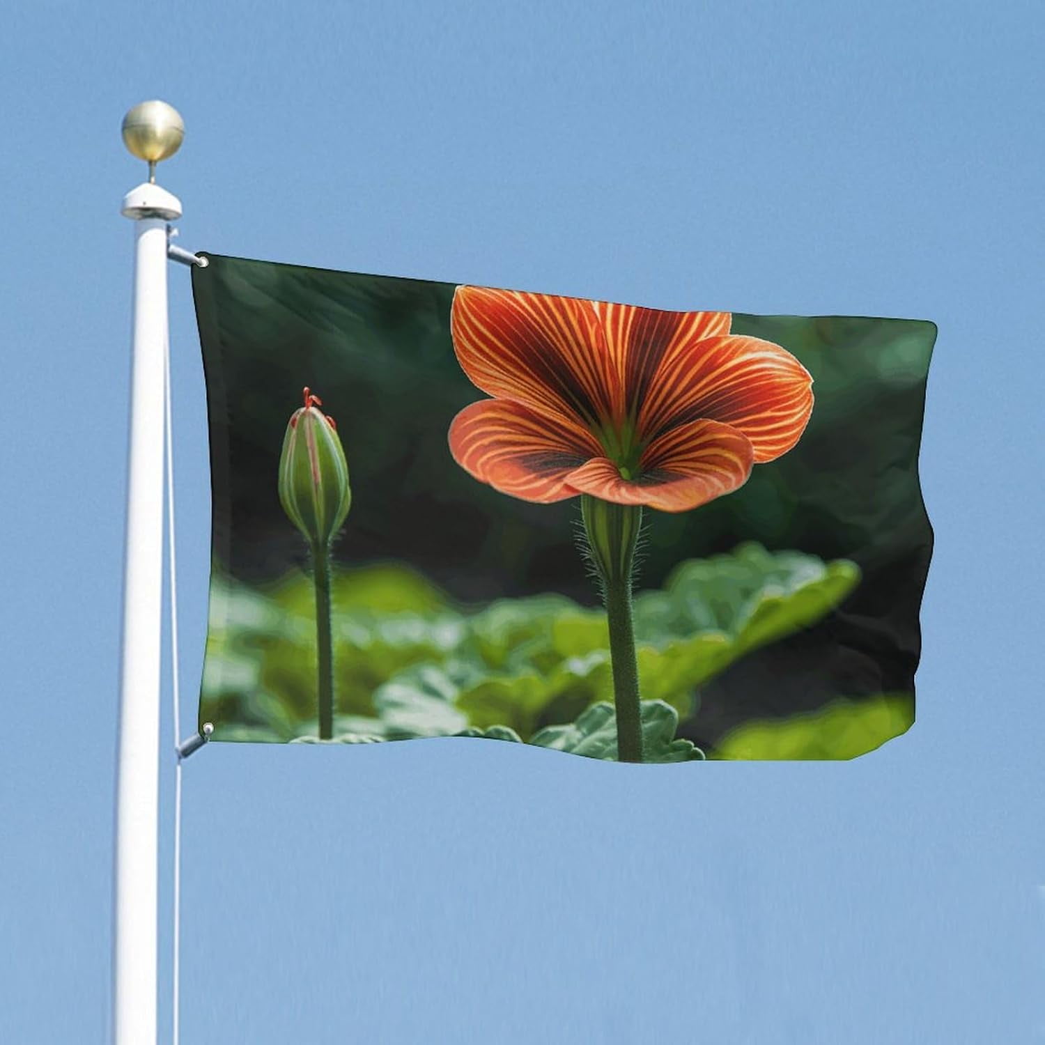 Flag 60x96 in Double Sided Yard Flags Grow Taller Slowly Garden Flag ...