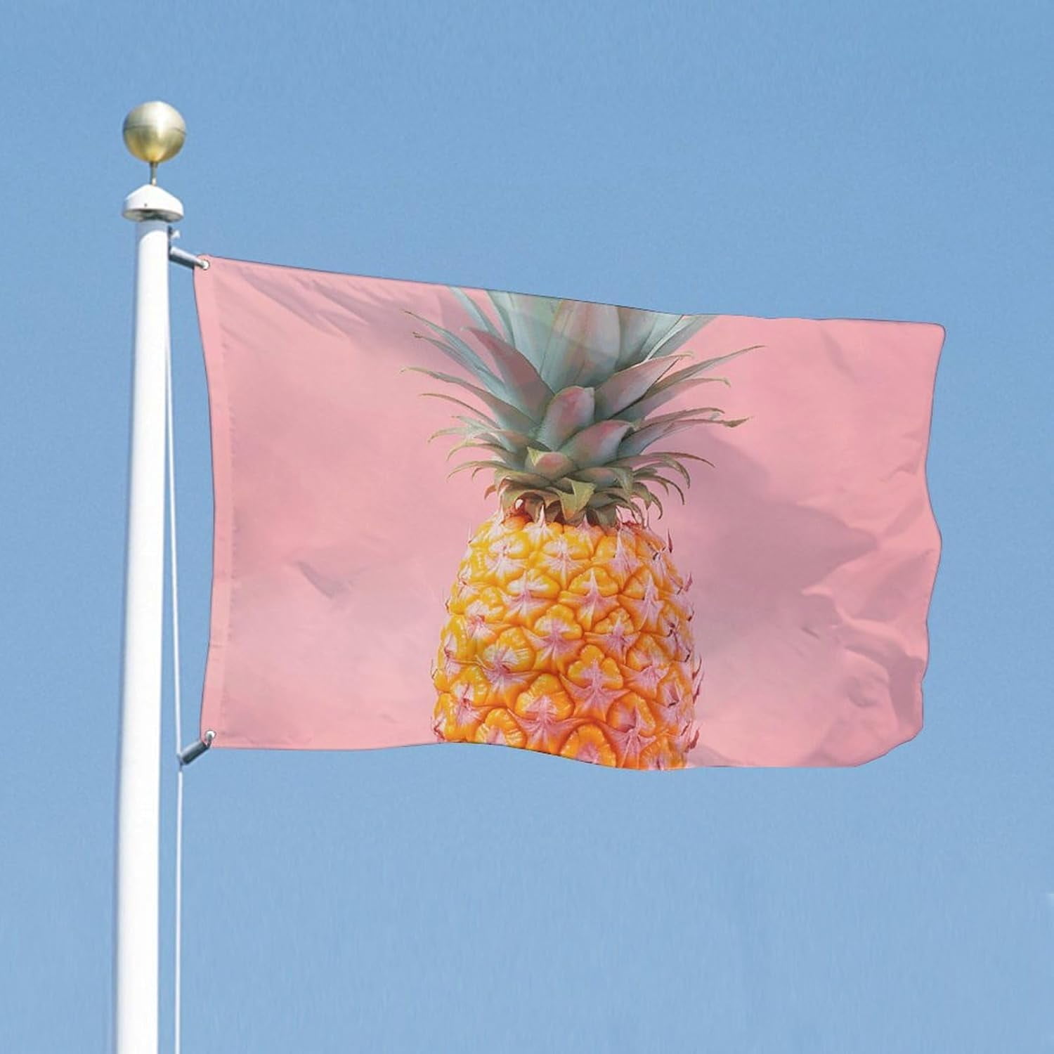 Flag 60x96 in Double Sided Yard Flags Pineapple Garden Flag Welcome ...