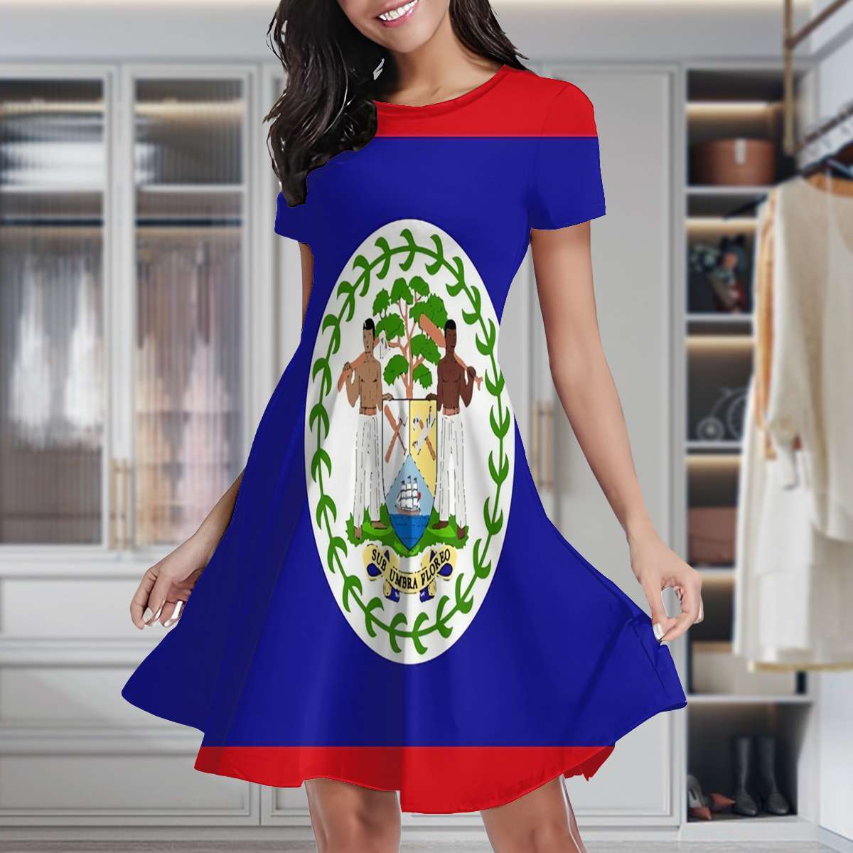 Flag Of Belize Women's Classic Swing Skater Dress Casual Work Party ...