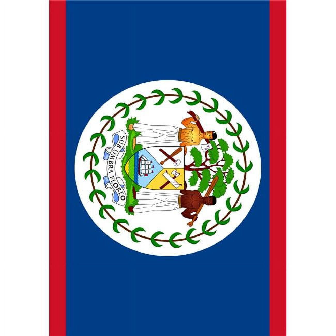 Flag of Belize House Flag - Walmart.com