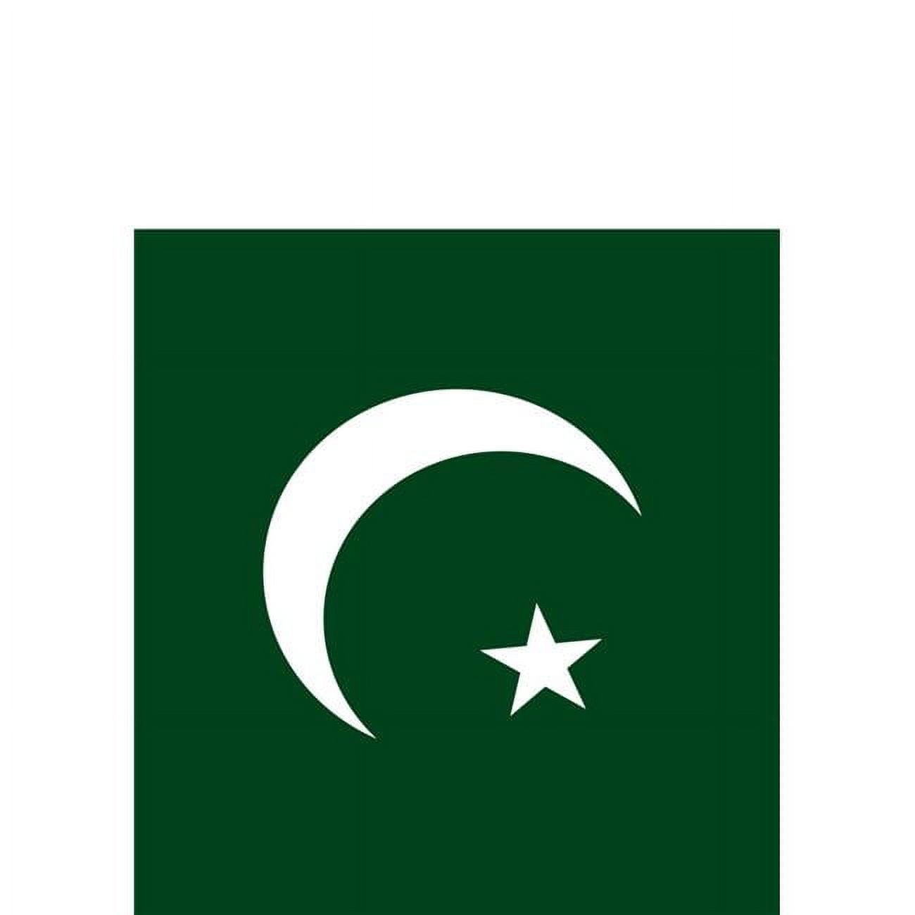 Flag of Pakistan House Flag - Walmart.com