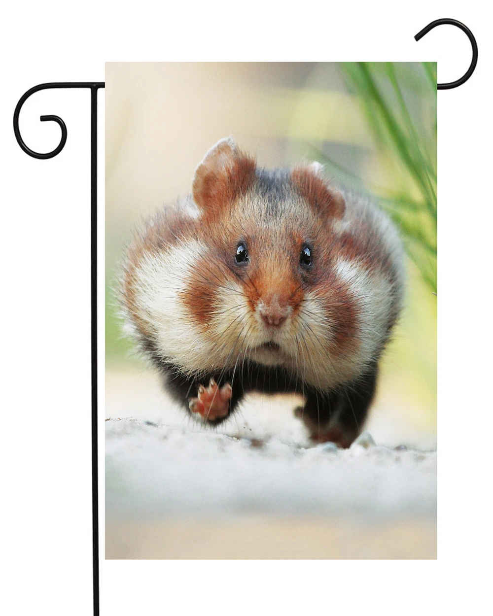 Flags Galore Chipmunk Garden Flag W - Walmart.com