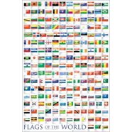 World Flags Educational Poster Laminated - Young N Refined - Walmart.com