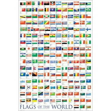 World Flags Educational Poster Laminated - Young N Refined - Walmart.com