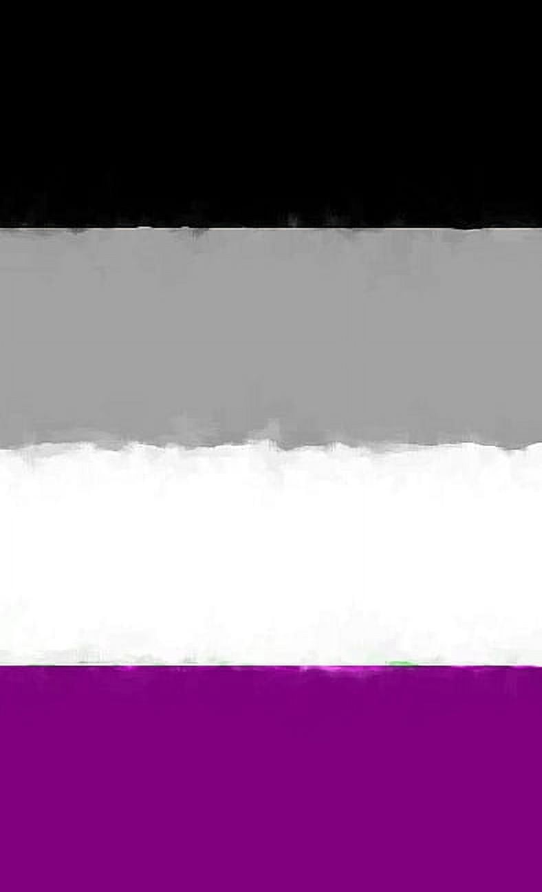 Flags of the World: Asexual Pride Flag Journal (Hardcover) - Walmart.com