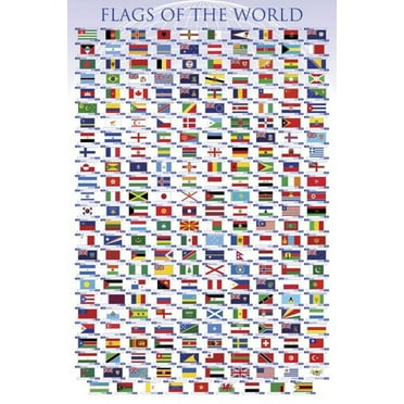 World Flags Educational Poster Laminated - Young N Refined - Walmart.com