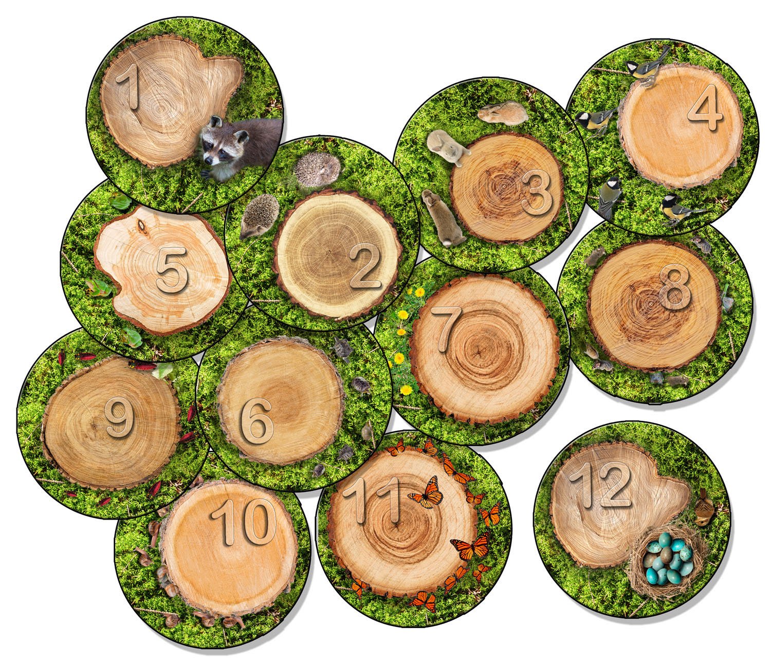 Flagship Carpets Counting Seating Stumps Stow -N- Go Educational Rug ...