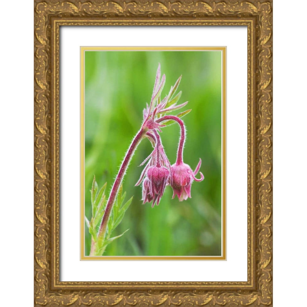 Flaherty, Dennis 11x14 Gold Ornate Wood Framed with Double Matting ...