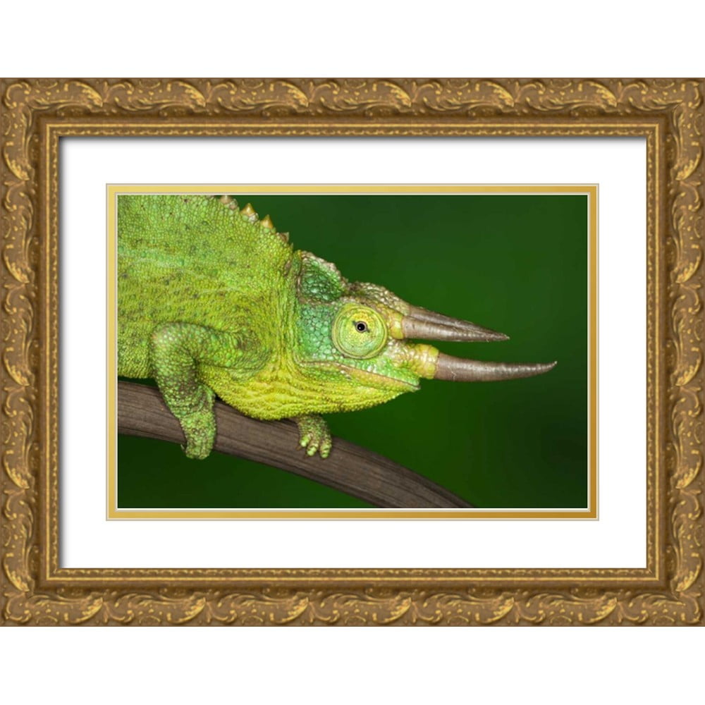 Flaherty, Dennis 14x11 Gold Ornate Wood Framed with Double Matting ...