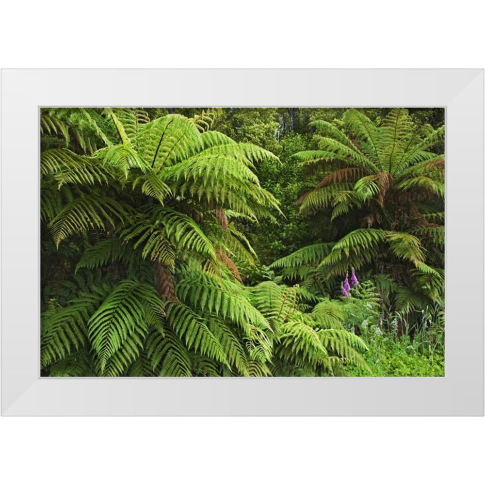 Flaherty, Dennis 14x11 White Modern Wood Framed Museum Art Print Titled ...