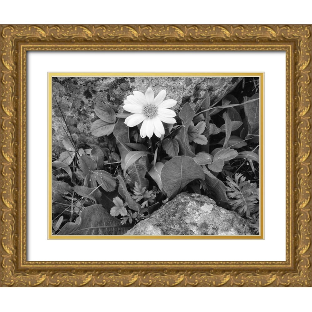 Flaherty, Dennis 14x12 Gold Ornate Wood Framed with Double Matting ...