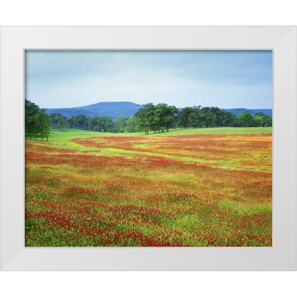 Flaherty, Dennis 14x12 White Modern Wood Framed Museum Art Print Titled ...