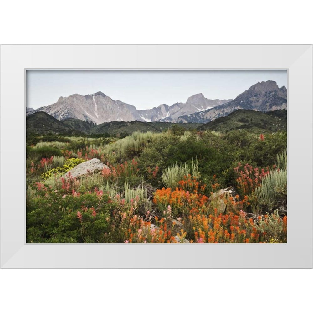 Flaherty, Dennis 18x13 White Modern Wood Framed Museum Art Print Titled ...