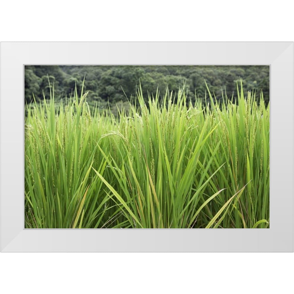 Flaherty, Dennis 18x13 White Modern Wood Framed Museum Art Print Titled ...